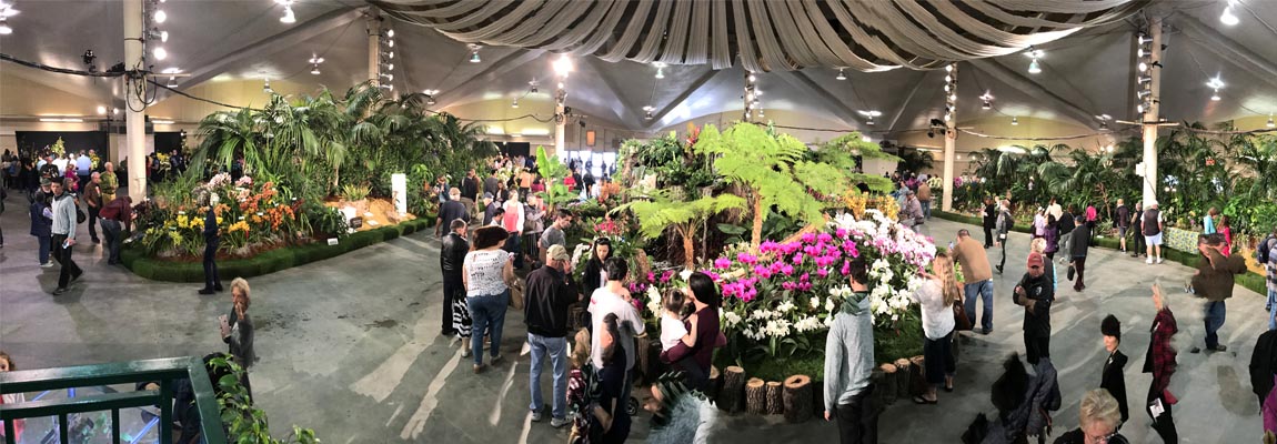 Community Involvement - Sol Wave Water