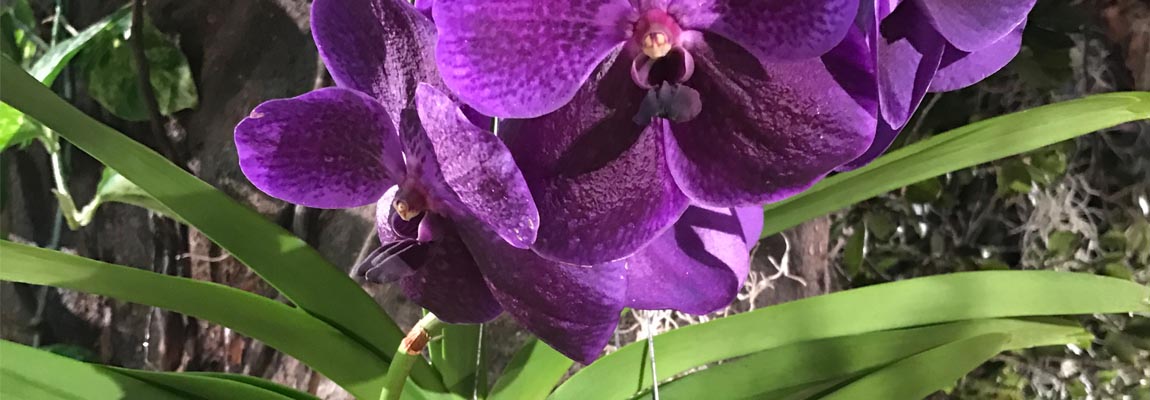 Community Involvement - Sol Wave Water